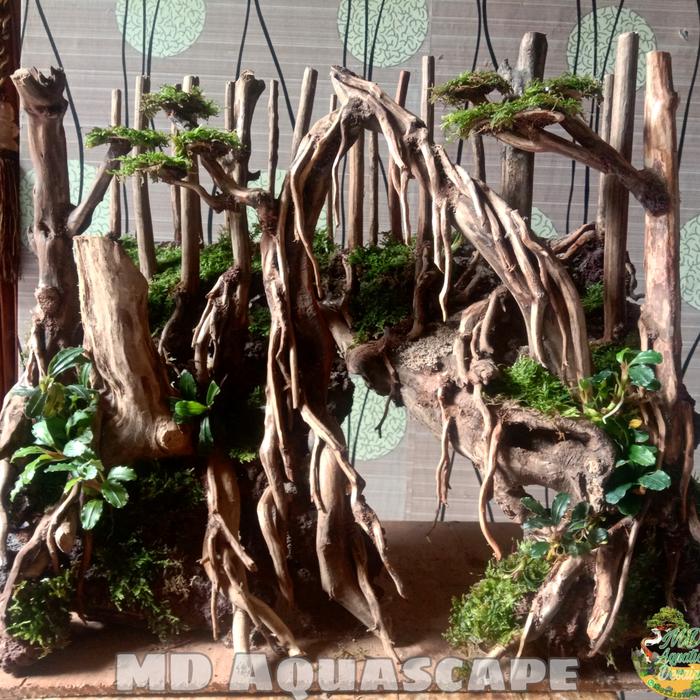 Jual hardscape aquascape tema jungle uk 40cm - Kota Depok - MDaquatic ...