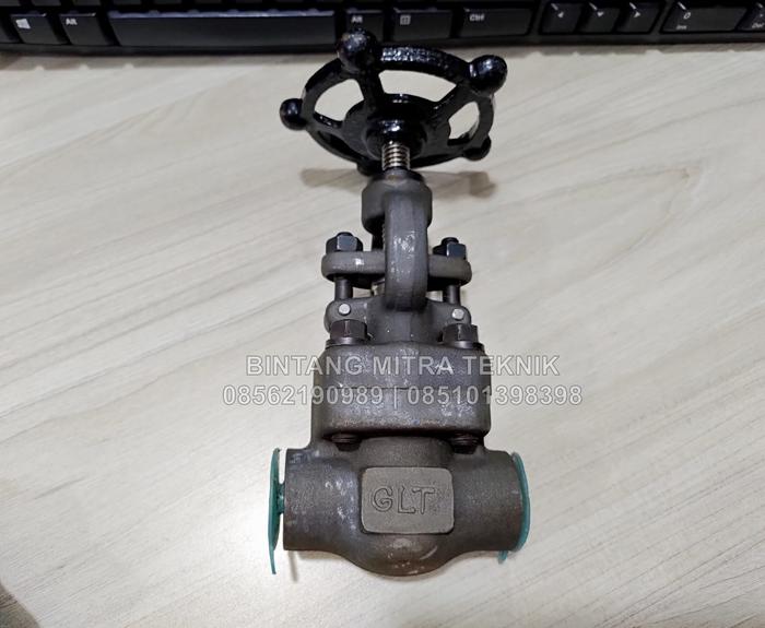 Jual FORGET STEEL GLOBE VALVE GLT A105N CLASS 800 1/2" NPT - Kota ...