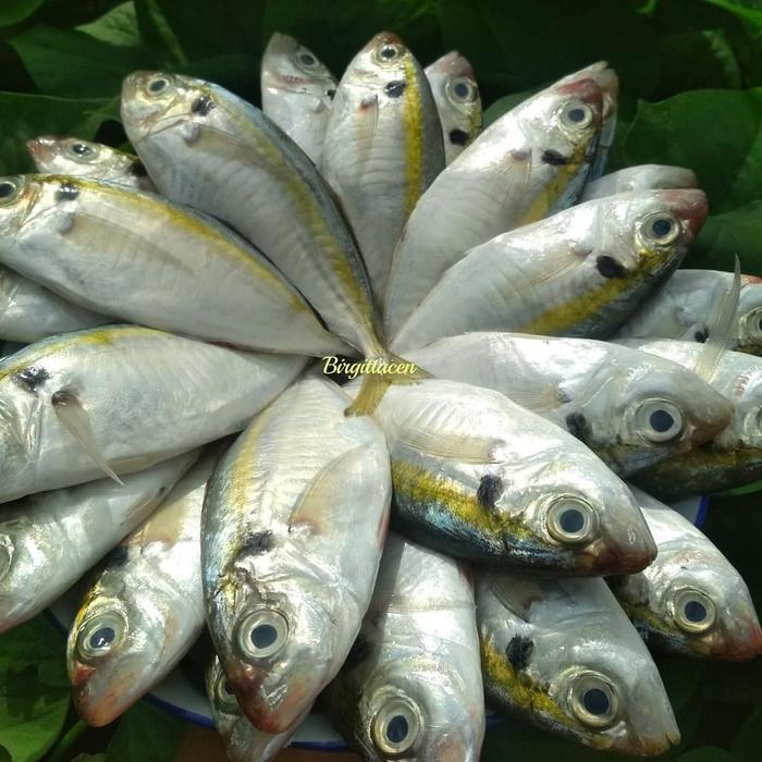 Jual ikan selar segar/ikan selar fresh 1kg - Kota Bandung - Sayurmayur ...