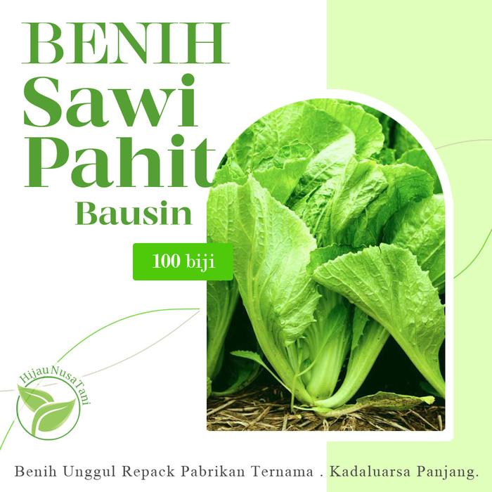 Jual Benih SAWI MUSTARD / SAWI ASIN / PAHIT - 100 biji repack ecer ...