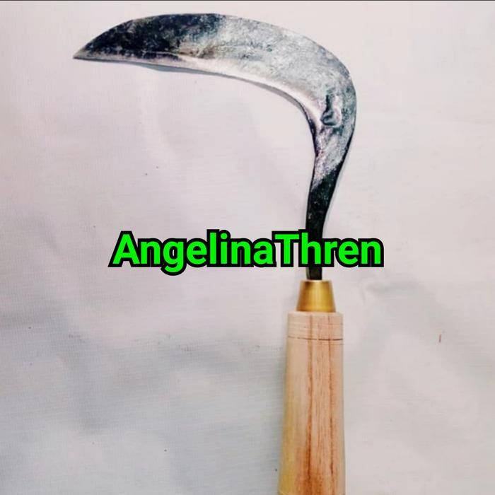 Jual Arit Rumput Besi - Alat Pemotong Perkebunan - sabit Rumput - Kab ...