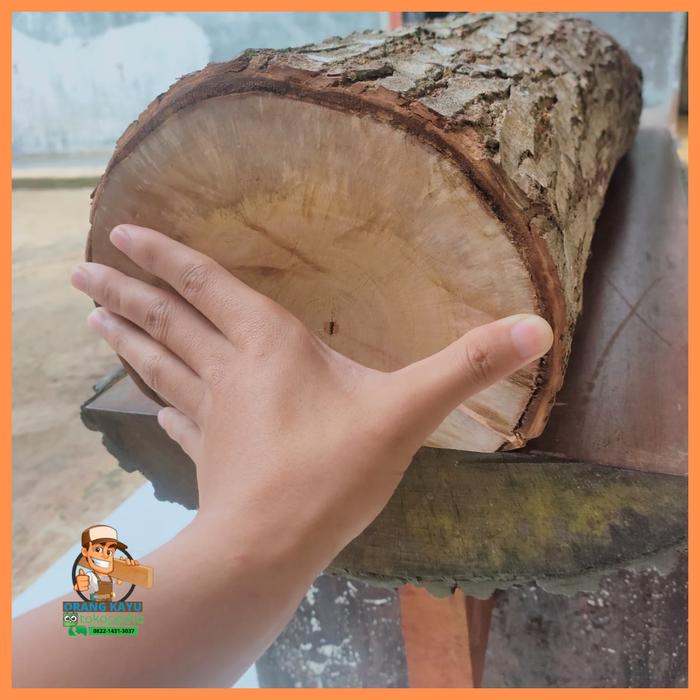 Jual wooden Log Kayu mahoni berkulit besar diameter 20 cm panjang 120 ...