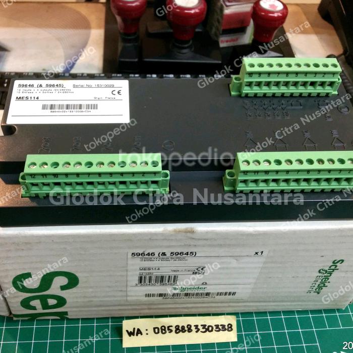 Jual Schneider SEPAM MES114 59646 & 59645 Protection Relay - Jakarta ...