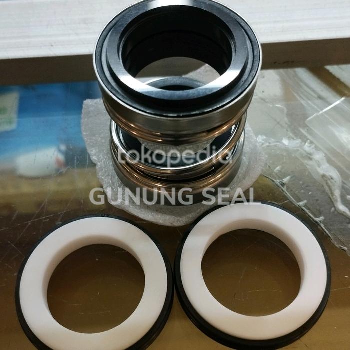 Jual Mechanical Seal shaft 25mm / pompa celup / Submersible pump - Jakarta Barat - GUNUNG SEAL ...