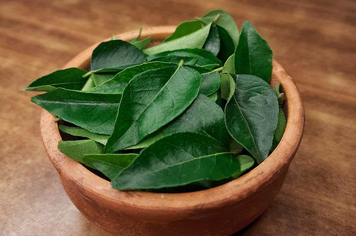 Jual Daun Kari / Temurui / Salam Koja Narasa - Jakarta Selatan - Toko ...