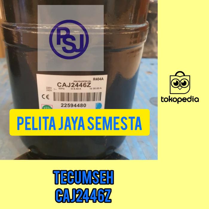 Jual Kompresor Tecumseh CAJ2446Z / Compressor Tecumseh CAJ2446Z ...