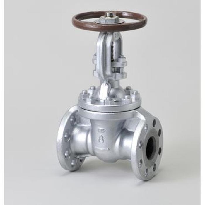 Jual 2" ASAHI GATE VALVE MALLEABLE IRON FLANGE 300 - Kota Surabaya ...