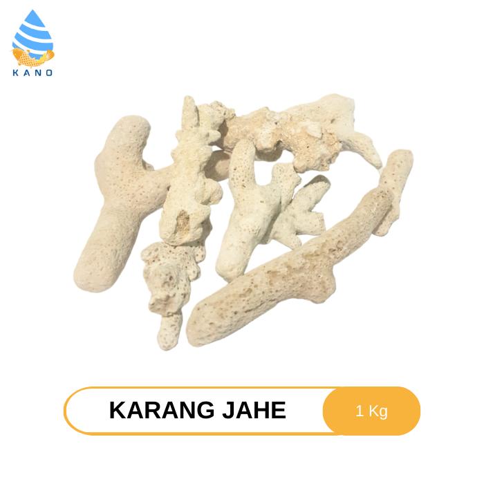 Jual Karang Jahe Media Filter Akuarium Aquascape Menstabilkan PH Air ...