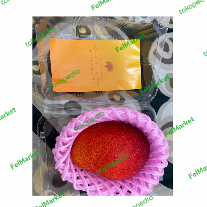 Jual Mango Miyazaki kanjyuku taiyo japanese|mangga original jepang|pcs ...