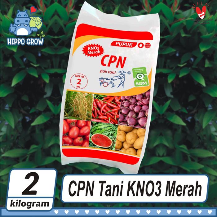 Jual Pupuk KNO3 Merah 2kg CPN Pak Tani - Nutrisi Tanaman Fase Vegetatif - Kota Tangerang Selatan ...