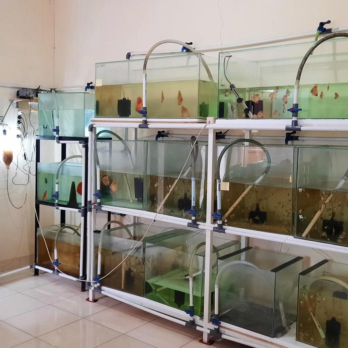 Jual Rak Akuarium dan Akuarium Full Set (Second Condition) - Jakarta ...