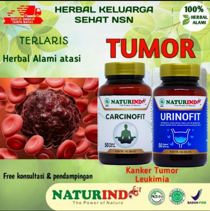 Jual OBAT LEUKIMIA KANKER DARAH PUTIH TUMOR NATURINDO HERBAL BPOM AMAN ...