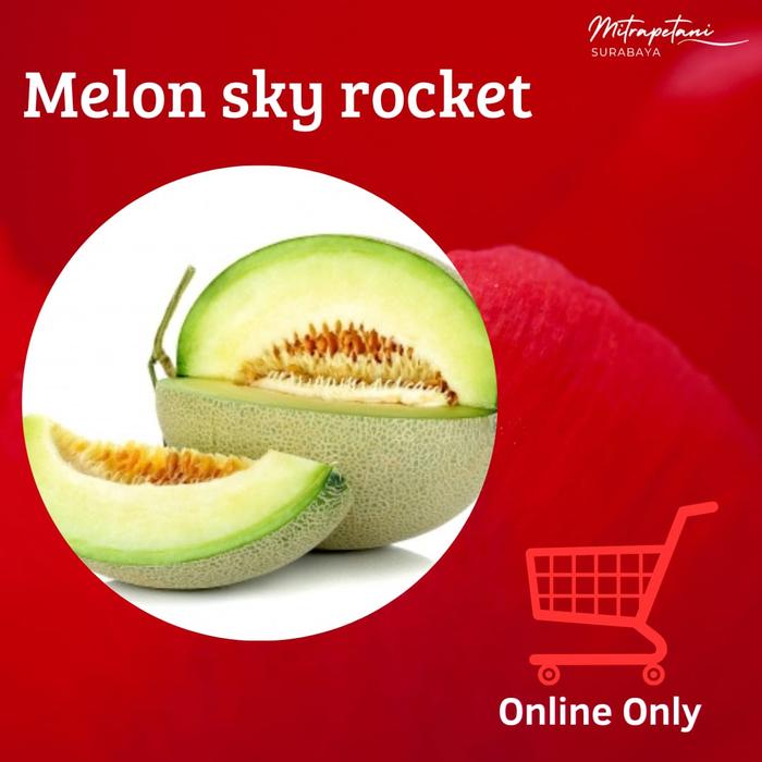 Jual Melon sky rocket, Melon super, buah Melon sky rocket - Kota ...