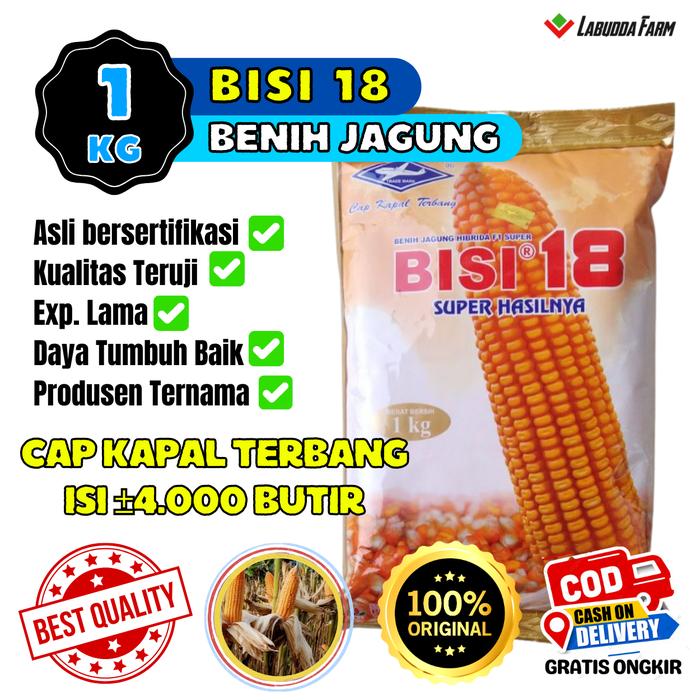 Jual Benih Jagung Bisi 18 Asli Cap Kapal Terbang Kemasan 1Kg Isi 4000 ...