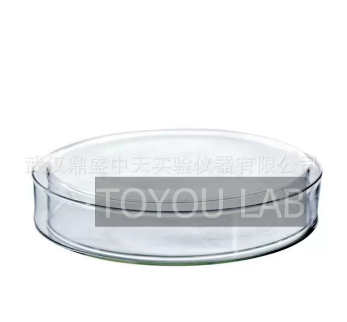 Jual cawan petri dish kaca - Kota Makassar - ToYou Lab | Tokopedia