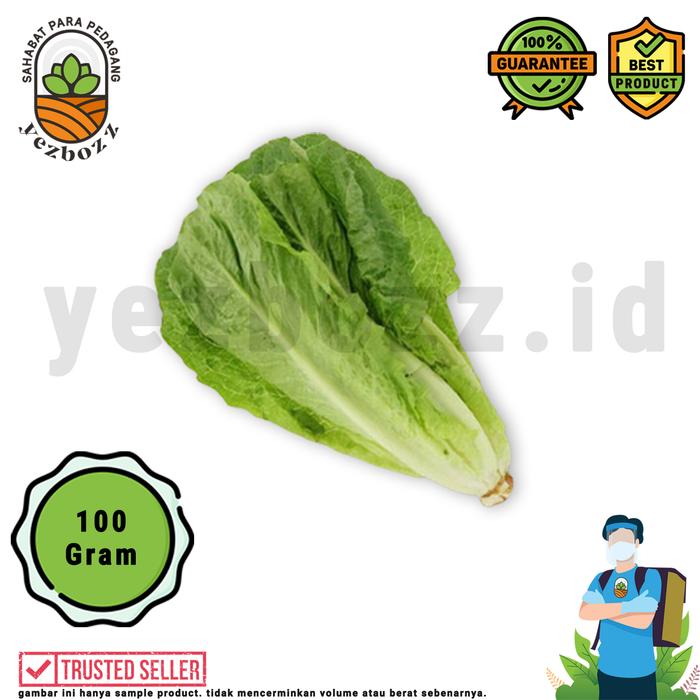 Jual Sayur Segar Romen / Romaine Lettuce Satuan - Jakarta Pusat - yezbozz | Tokopedia