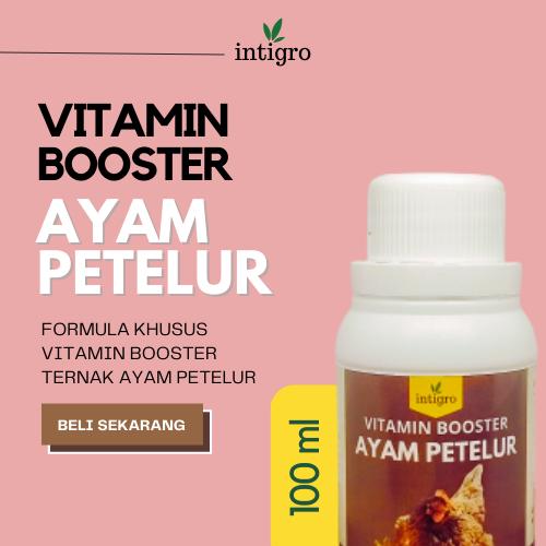 Jual Vitamin Ternak Ayam Petelur / Vitamin Ternak Ayam Bangkok Alas ...