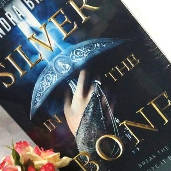 Jual Silver In The Bone - Alexandra Bracken (ORIGINAL ENGLISH VERSION ...