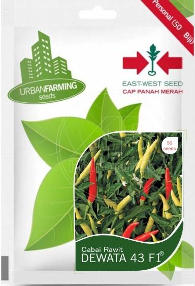 Jual Benih Bibit Cabai Cabe Rawit Dewata 43 F1 Cap Panah Merah Original - Kota Surakarta ...