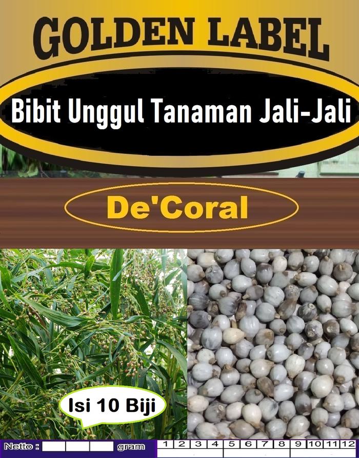 Jual Bibit Unggul Tanaman Jali-jali|Biji Bibit Jali|Bibit barley|Benih ...