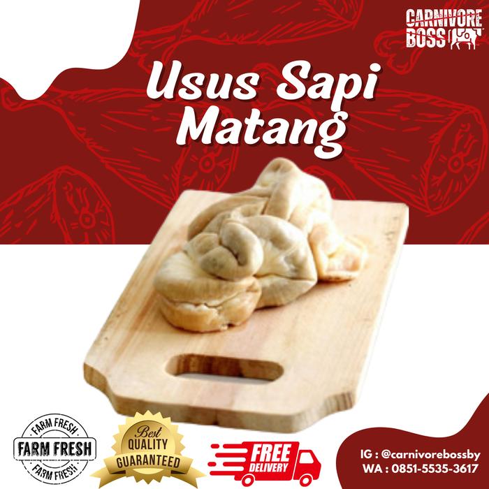 Jual USUS SAPI SUPER FRESH REBUS 1 KG / USUS SAPI SEGAR / CARNIVORE ...