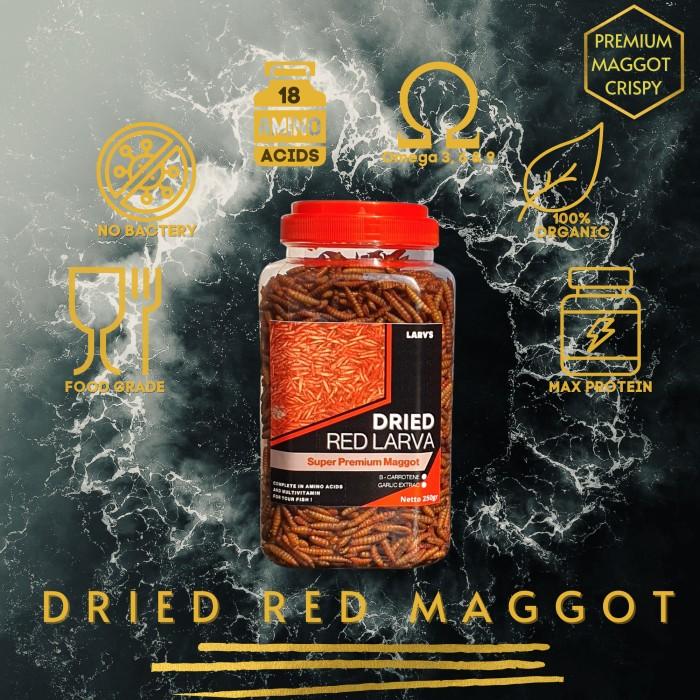 Jual SUPER RED MAGGOT Maggot Kering with Real Carrophyl Red 250gr ...