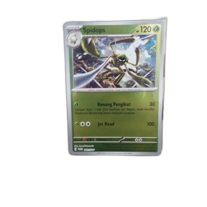 Jual Spidops Foil Promo - Pokemon TCG Indonesia - Kab. Situbondo ...