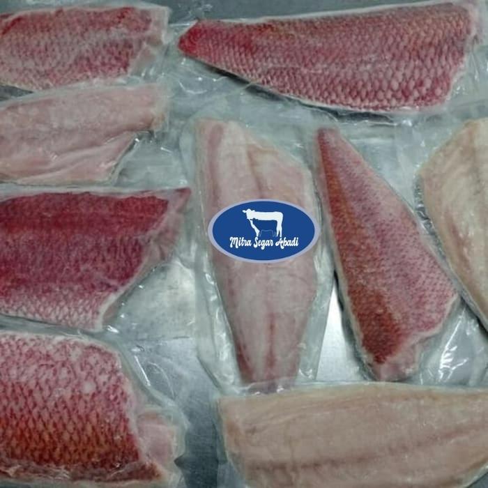 Jual Ikan Kakap Fillet @1kg - Jakarta Pusat - Mitra Segar Abadi Jakpus ...