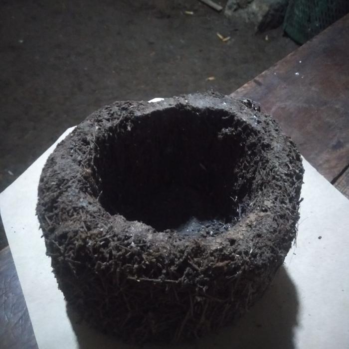 Jual pot pohon pakis untuk menanam anggrek - Kab. Bandung - pemburu ...