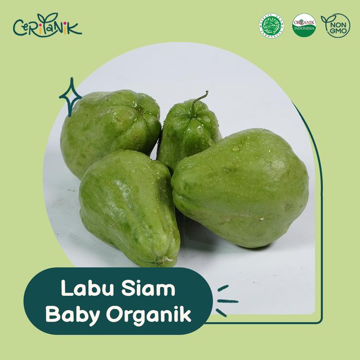 Jual Labu Siam Baby Organik 500 gram - Ceritanik - Baby Chayote Organic ...
