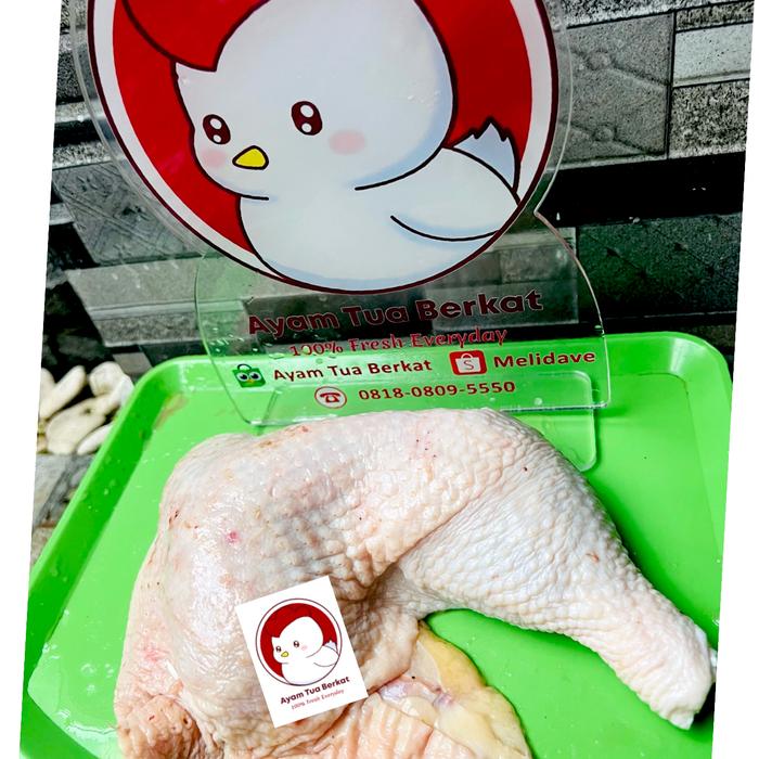 Jual FRESH Paha Potongan Ayam Peren/ Ayam Tua - Jakarta Pusat - Ayam ...