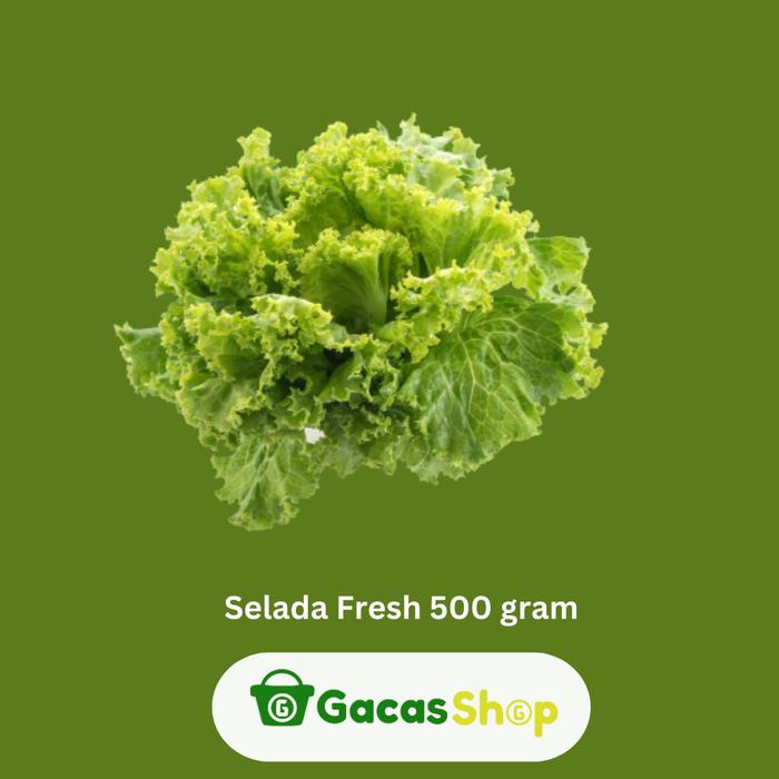 Jual Selada Fresh, Hijau, Sehat dan Bergizi 500 gram - Kab. Bogor ...