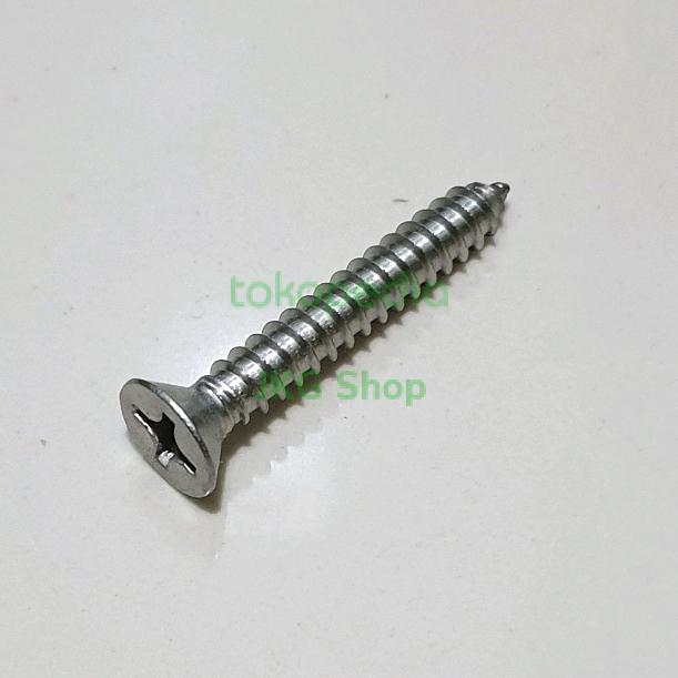 Jual Sekrup Skrup tapping screw stainless SUS 304 FH 12 x 1 1/2 kepala ...