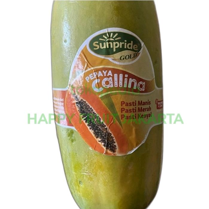 Jual Pepaya calina sunpride / pepaya calina daging merah dan manis1,4 kg - Jakarta Barat - HAPPY ...