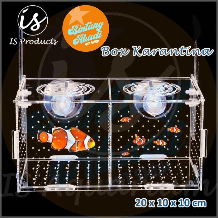 Jual Box Karantina Ikan Besar Quarantine Box Aklamasi Acrylic V2 ...