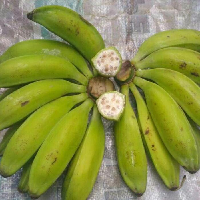 Jual Pisang batu pisang biji segar 1KG - Jakarta Timur - tasbishop ...