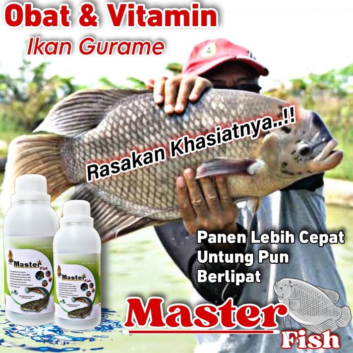 Jual MF09 PROBIOTIK MASTER FISH OBAT & VITAMIN IKAN GURAME BIAR CEPAT ...