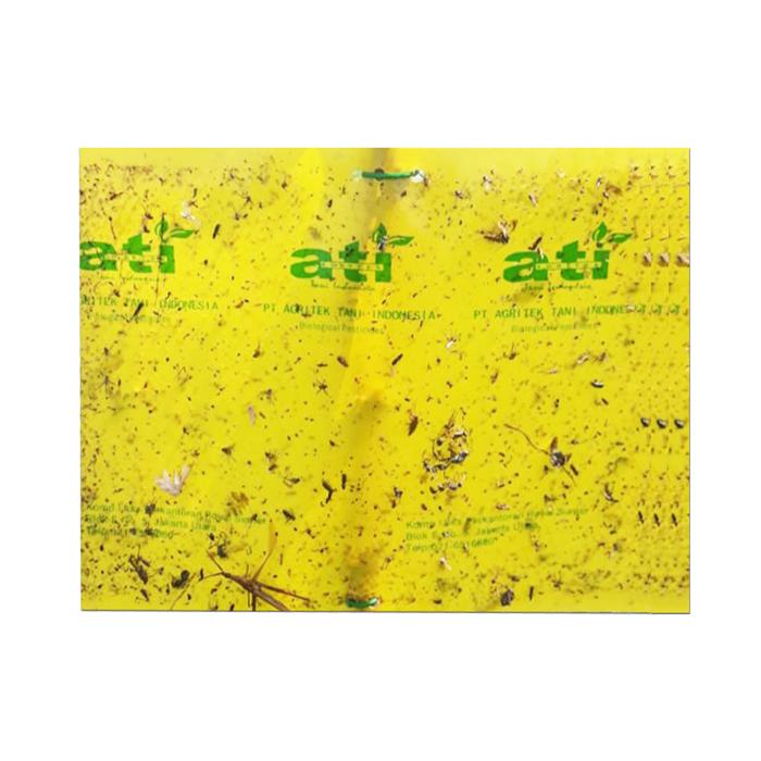 Promo FERO BWG+PERANGKAP Feromon Pengendali Hama Ulat Daun Bawang ...