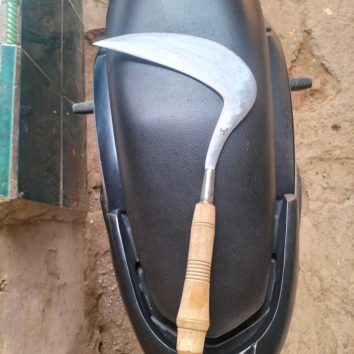 Jual Alat Tani Arit rumput Sabit padi Jumbo Lebar - Kab. Bangkalan ...