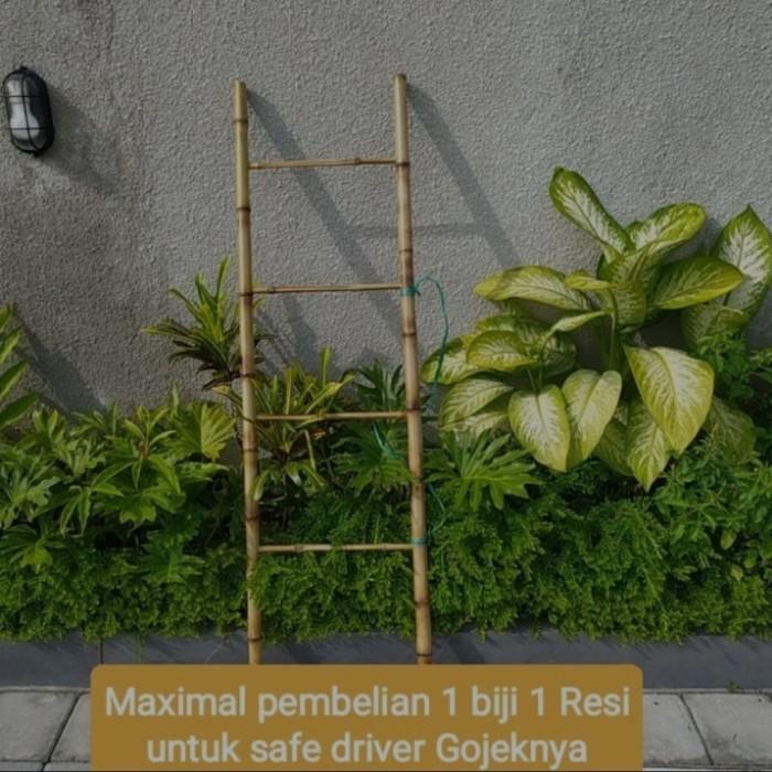 Jual TANGGA BAMBU DEKORASI CENDANI BAMBOO LADDER NATURAL 4 STEPS ...