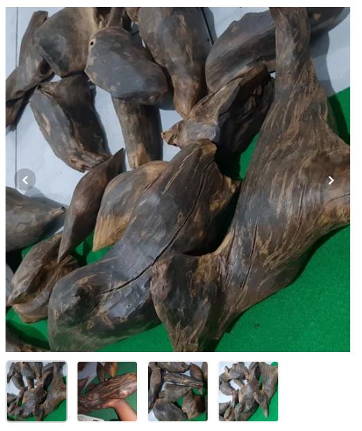 Jual fosil kayu galih gaharu super dahsyat paket 1kg - Kota Semarang ...