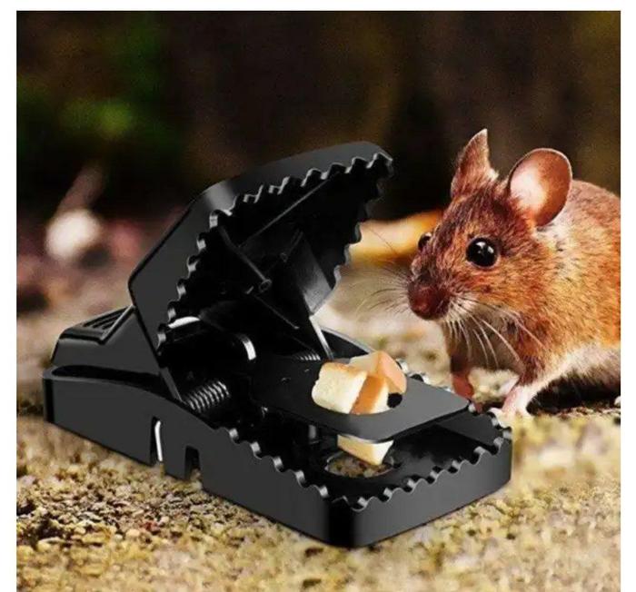 Jual MOUSE CLEANER isi 5 - Kab. Tangerang - FindMe. | Tokopedia