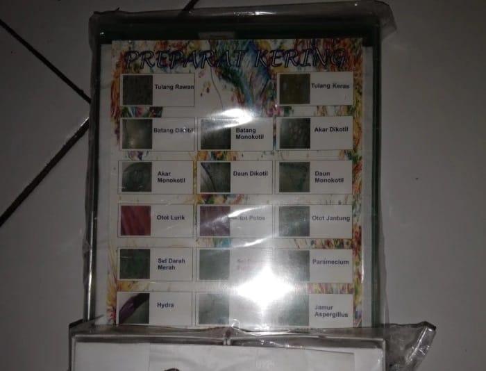 Jual Preparat Kering 17 Macam / Set Preparat awetan BIOLOGI - Kota ...
