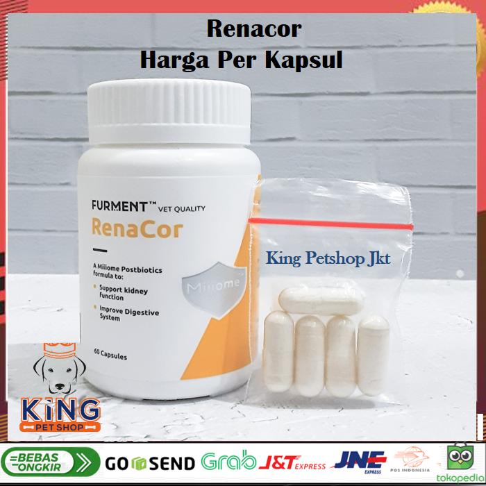 Jual Renacor - Suplemen Ginjal Untuk Kucing Pengganti Azodyl - Per ...