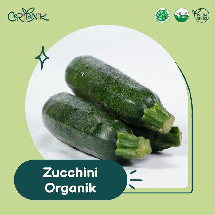 Jual Zucchini Organik 500 gram - Ceritanik - Zucchini Organic - Kota ...