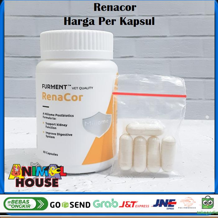 Jual Renacor - Suplemen Ginjal Untuk Kucing Pengganti Azodyl - Per ...