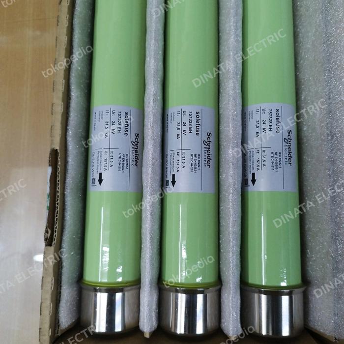Jual Fuse TM Schneider 31.5A 24kv Solefuse (kepala besar) - Jakarta ...