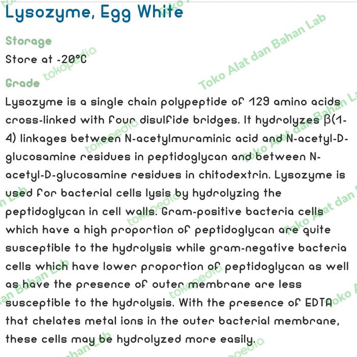 Jual Lysozyme, Egg White (molecular Biology Grade), 1 Gram Di Seller ...