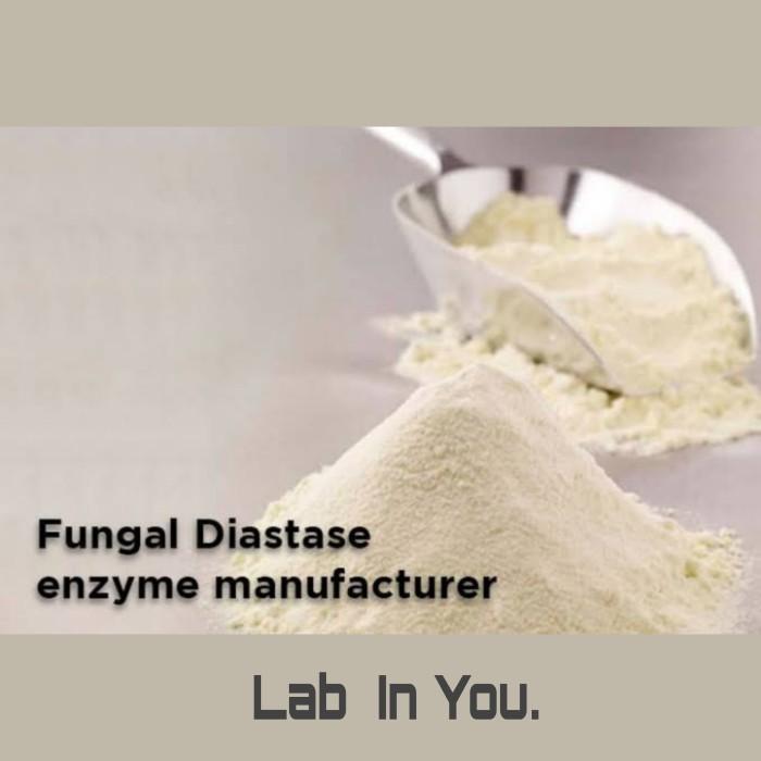 Jual Enzim Diastase 50 Gram-Amylase Enzyme Powder-Diastase - Kab. Bogor ...