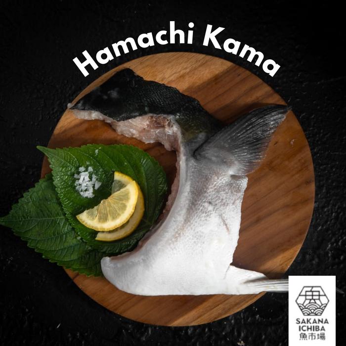 Jual Hamachi Kama (Yellow Tail Collar/Cheek) frozen - Kota Bekasi ...